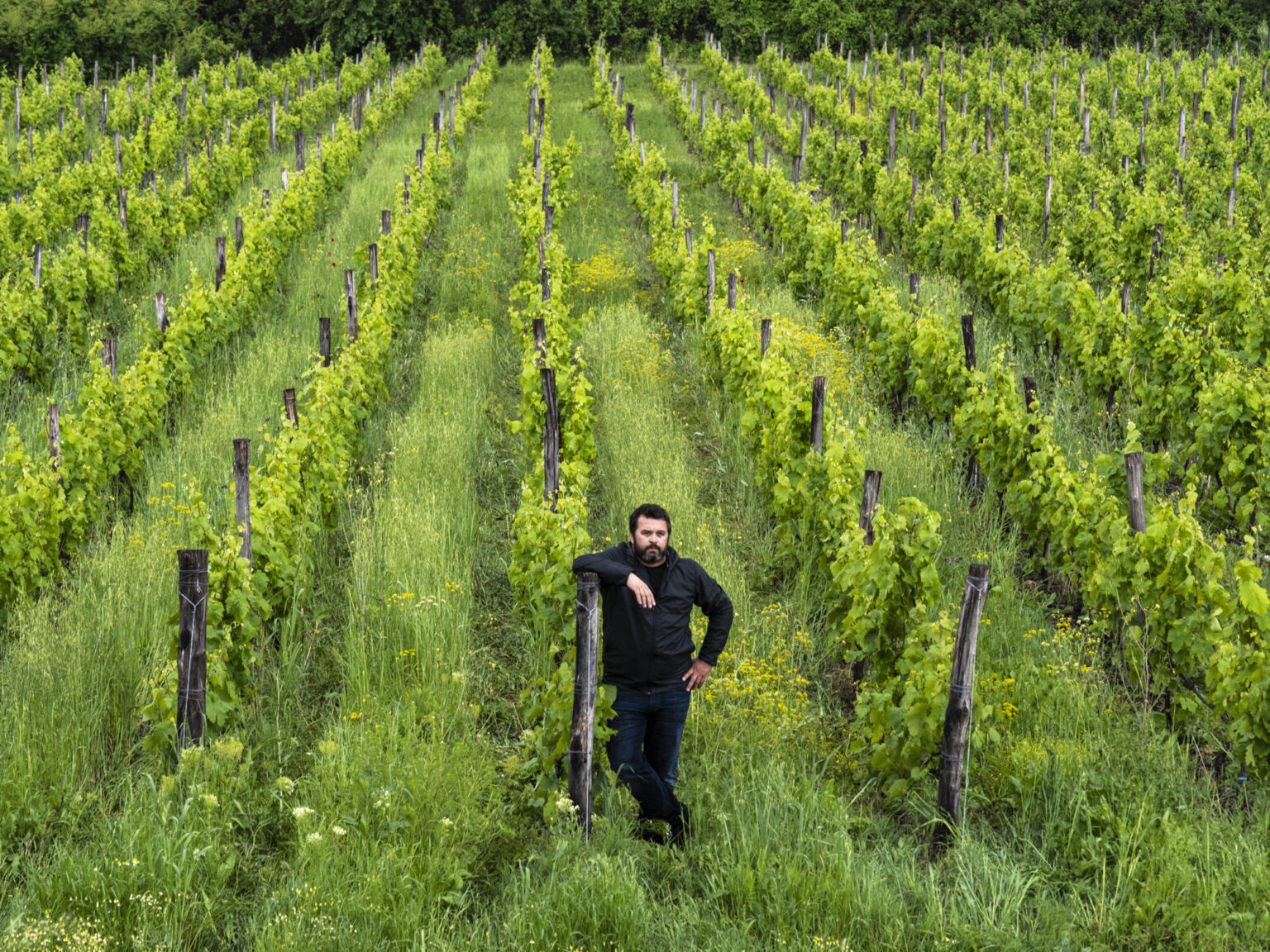 DECANTER: ΤΑ ΠΡΟΣΩΠΑ ΤΗΣ ΧΡΟΝΙΑΣ Ο ΘΥΜΙΟΠΟΥΛΟΣ ΤΟ ΝΕΟ ΑΣΤΕΡΙ - Grapemag ...