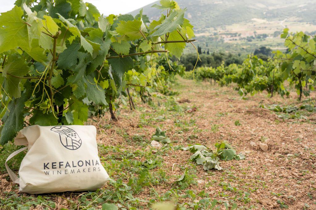 ΚΕΦΑΛΟΝΙΑ - ΕΝΑ HUB ΓΙΑ ΤΟ ΚΡΑΣΙ - Grapemag. Wine News. Wine stories.
