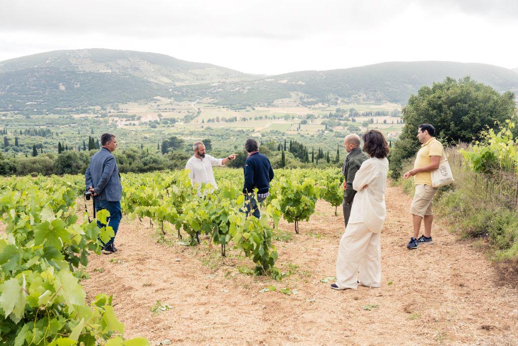 ΚΕΦΑΛΟΝΙΑ - ΕΝΑ HUB ΓΙΑ ΤΟ ΚΡΑΣΙ - Grapemag. Wine News. Wine stories.