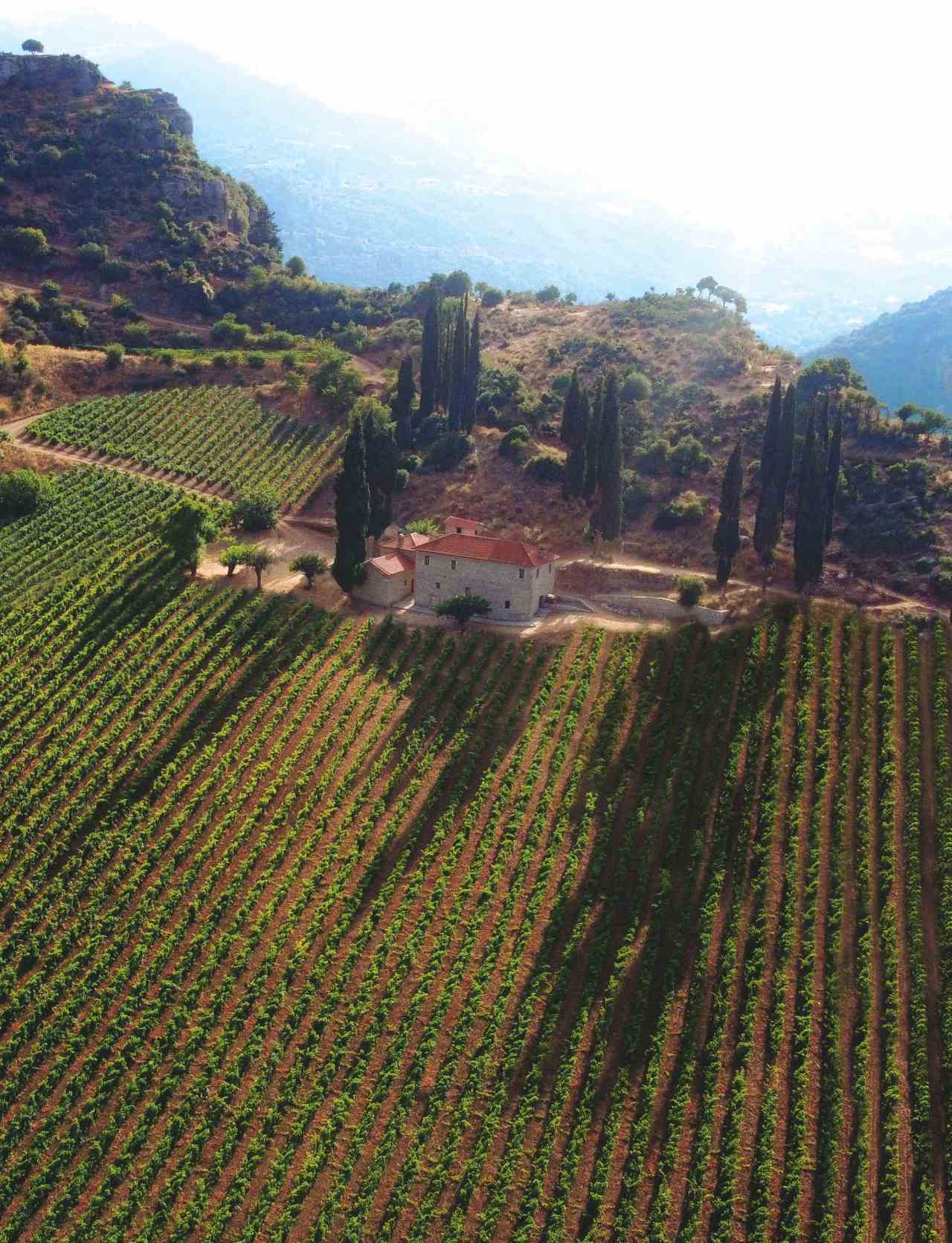 ΜΕΓΑ ΣΠΗΛΑΙΟ - Grapemag. Wine News. Wine stories.