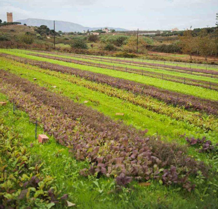 ΌΤΑΝ Η ΥΨΗΛΗ ΓΑΣΤΡΟΝΟΜΙΑ ΣΥΝΑΝΤΑ ΤΟΝ ΜΑΓΙΚΟ ΚΟΣΜΟ ΤΩΝ COCKTAILS ...