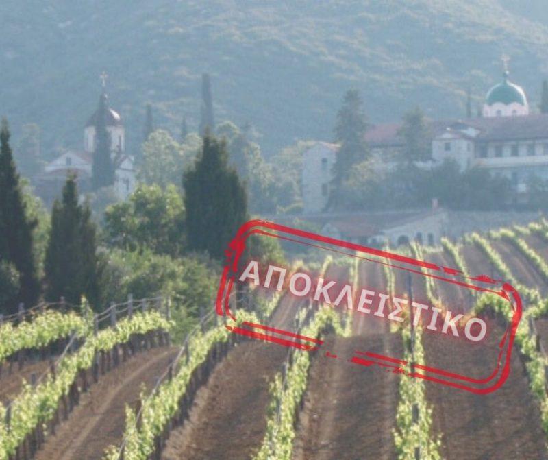 ΘΕΤΙΚΗ ΔΙΑΘΕΣΗ ΓΙΑ ΕΞΑΓΟΡΑ ΤΗΣ ΤΣΑΝΤΑΛΗ - Grapemag. Wine News. Wine ...