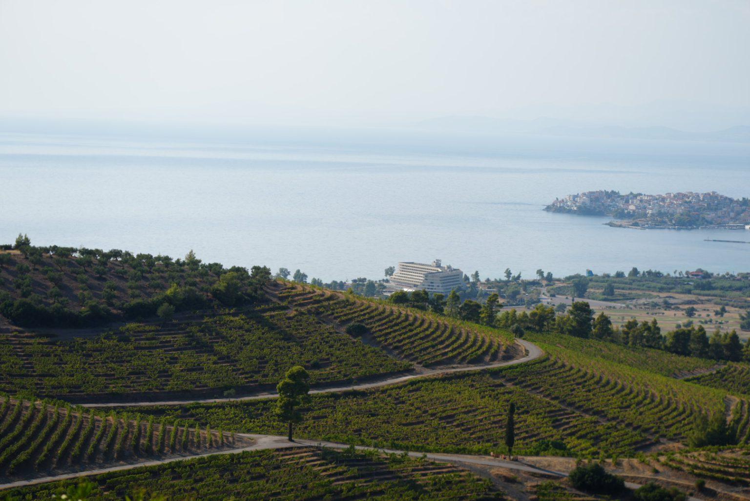Ο SERGEI SMIRNOV ΚΑΙ ΤΑ ΣΧΕΔΙΑ ΓΙΑ ΤΟ PORTO CARRAS - Grapemag. Wine ...