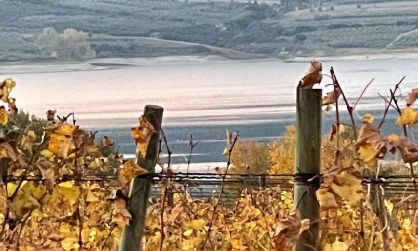 ΤΑ ΟΙΝΟΠΕΔΙΑ ΤΩΝ ΛΙΜΝΩΝ - Grapemag. Wine News. Wine stories.