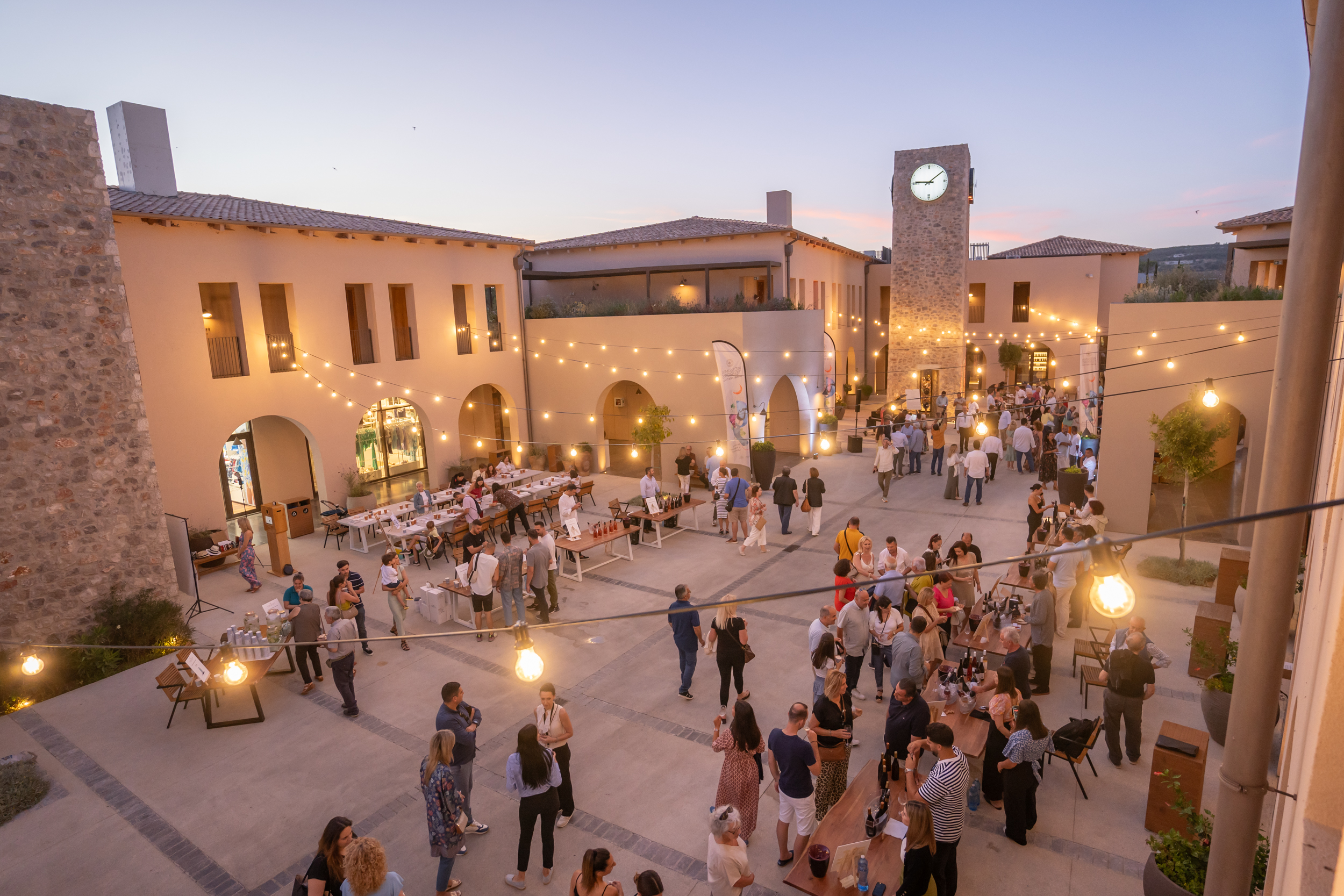 MESSINIA TEROIRS 2025 - Grapemag. Wine News. Wine stories.